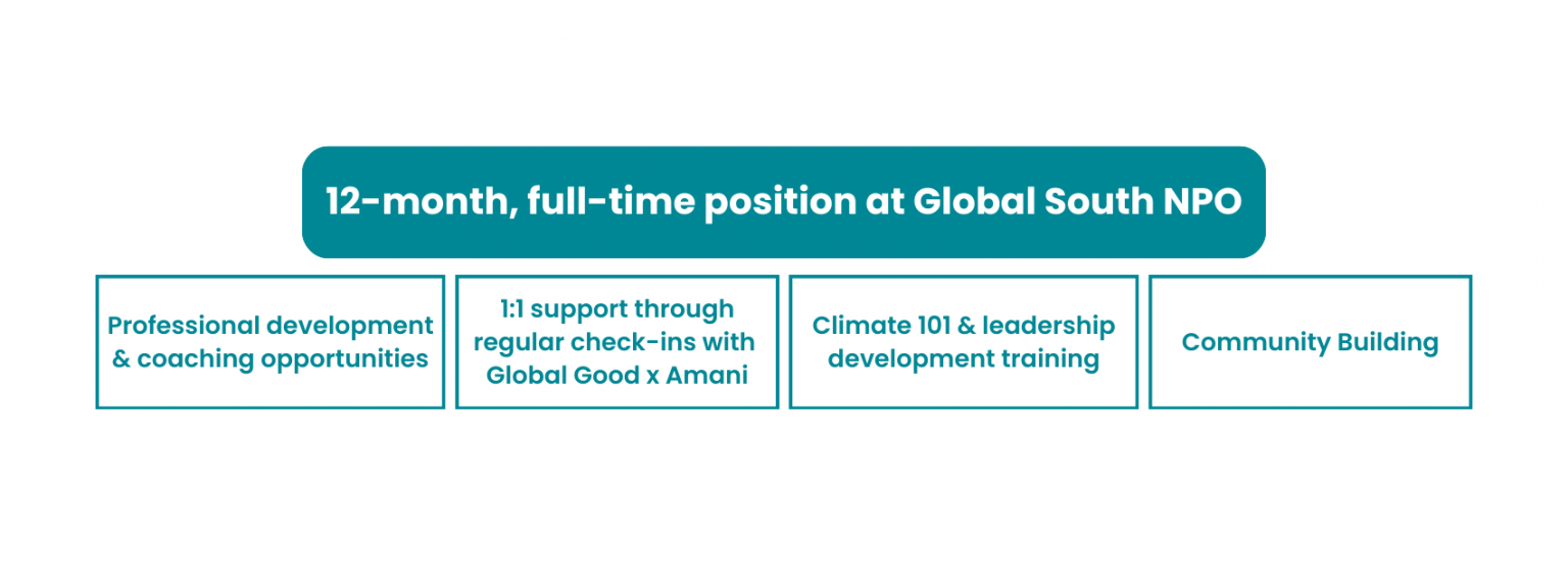 Climate Finance Fellowship - Global Good x Amani
